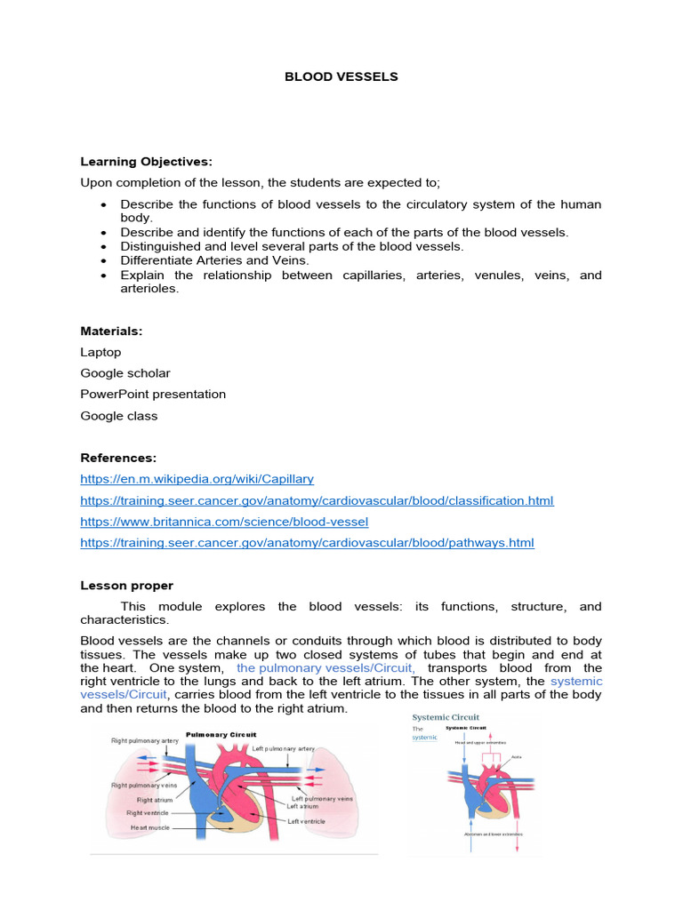Module 11 Blood Vessels | PDF | Artery | Capillary