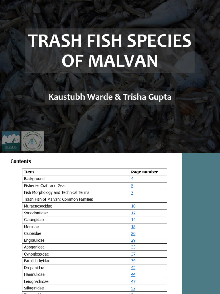 Trash Fish of Malvan ID Guide Final 10-04-21 | PDF | Trawling | Fish