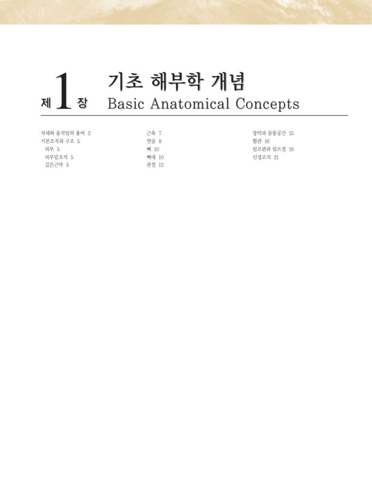 Basic Anatomical Concepts | PDF
