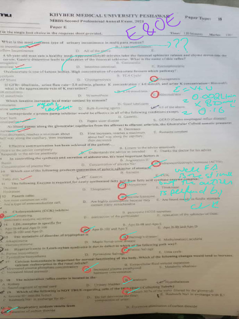 Kmu Block E 2021 - 221212 - 000222 - 221214 - 211314 | PDF | Muscle | Kidney