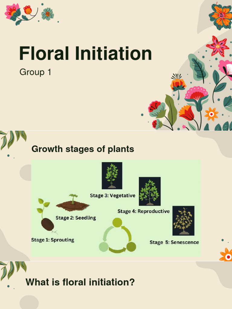 Floral Initiation F | PDF | Flowers | Organisms