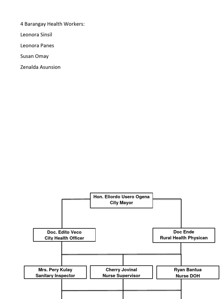 4 Barangay Health Workers | PDF
