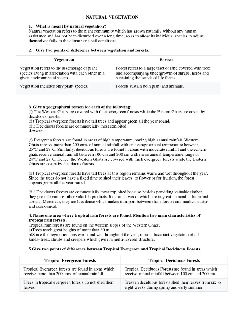 Natural_vegetation. | PDF | Forests | Trees