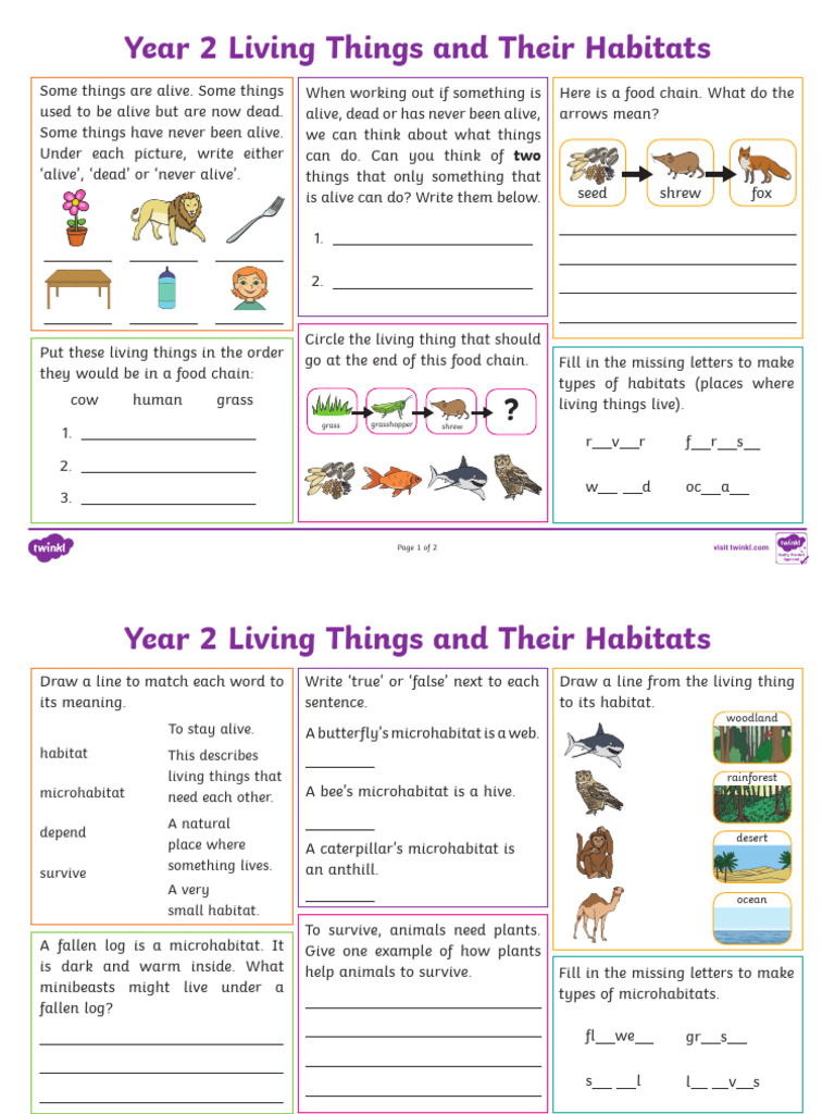 Year 2 Habitats and Living Things | PDF | Habitat | Foods
