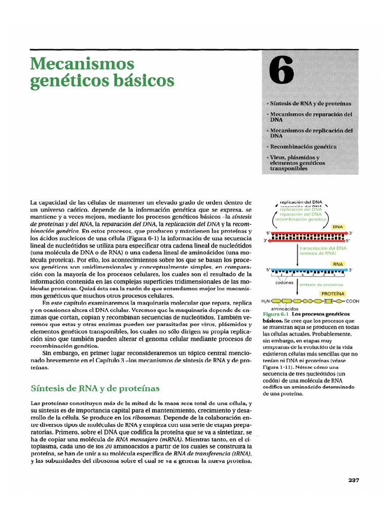 9) Cap. Libro Alberts - Transcripción | PDF