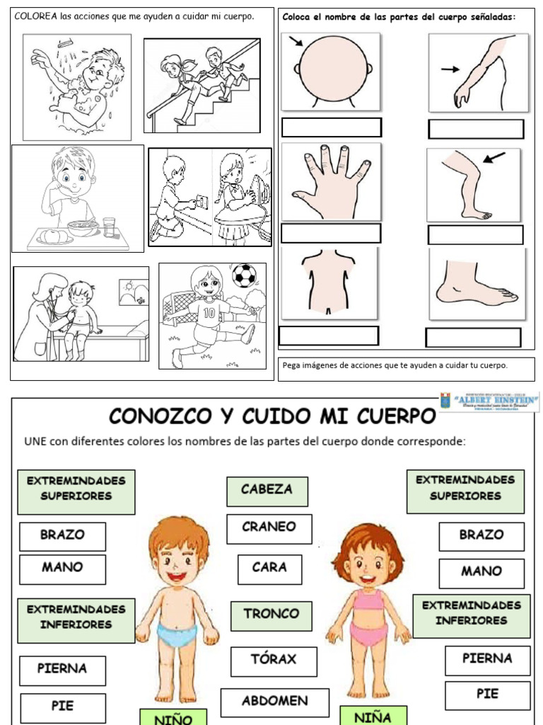 Ficha de Cyt Miercoles 20 de Marzo | PDF