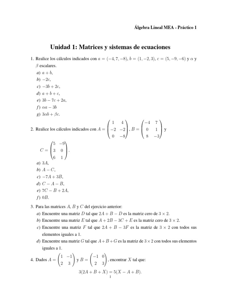 Práctico Unidad 1 ALGEBRA | PDF | Matriz (Matemáticas) | Análisis matemático