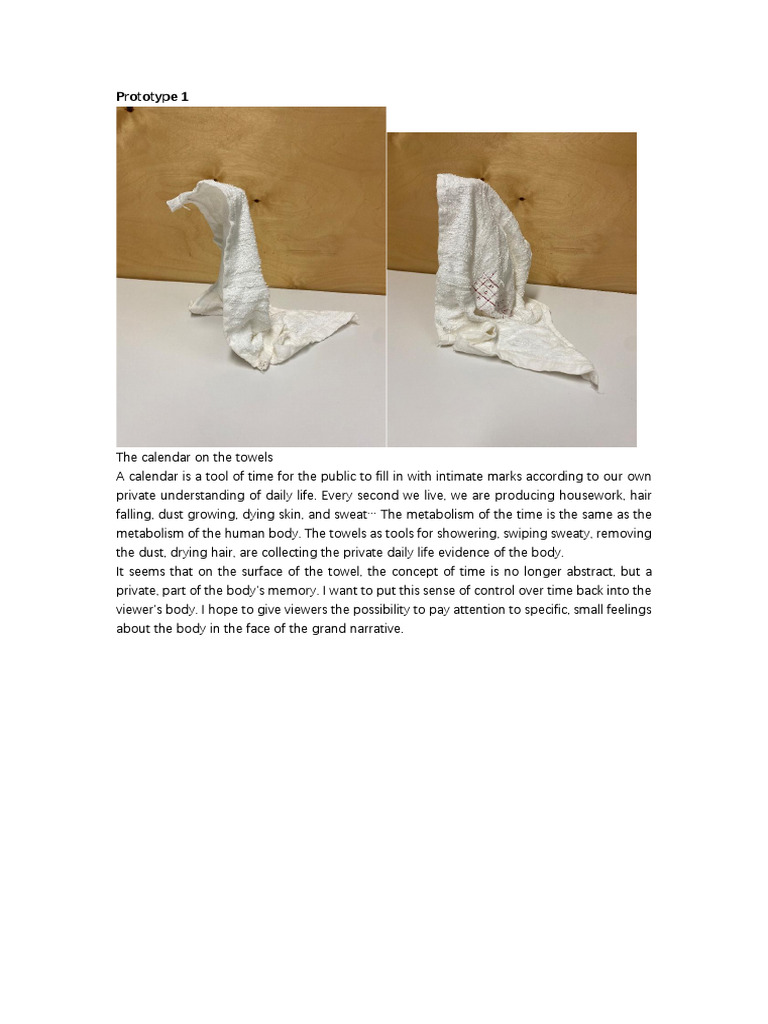 Reflection After Experiment Yuzhuo Wang | PDF | Prototype