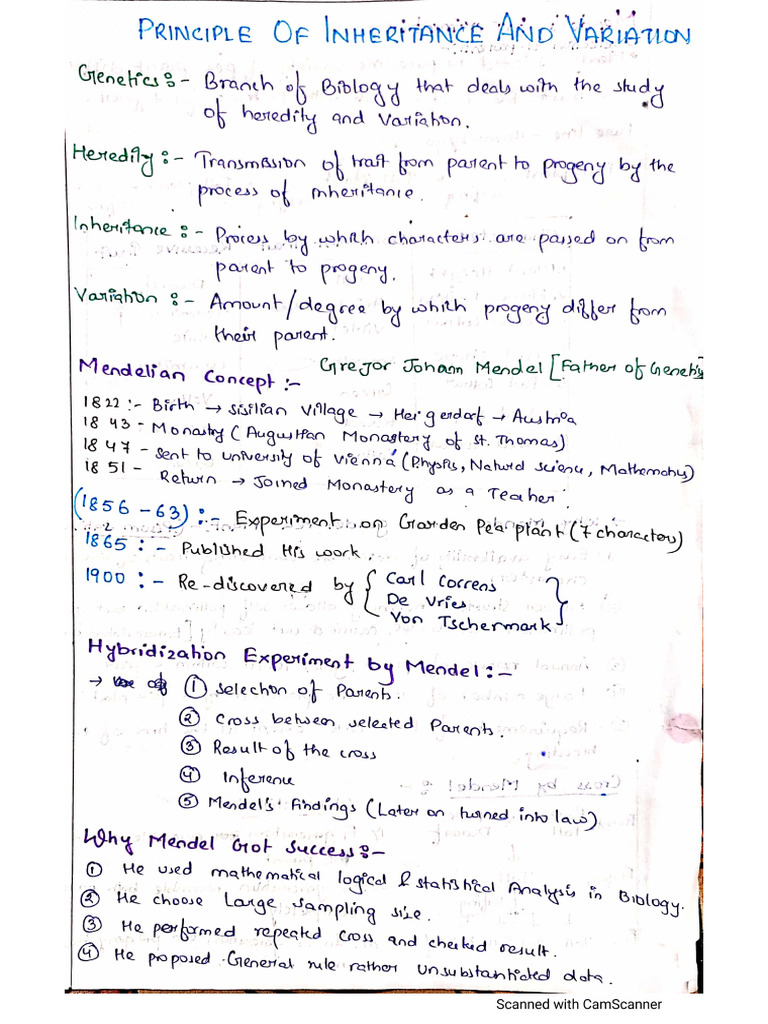 Principal of Inheritance Full PDF | PDF