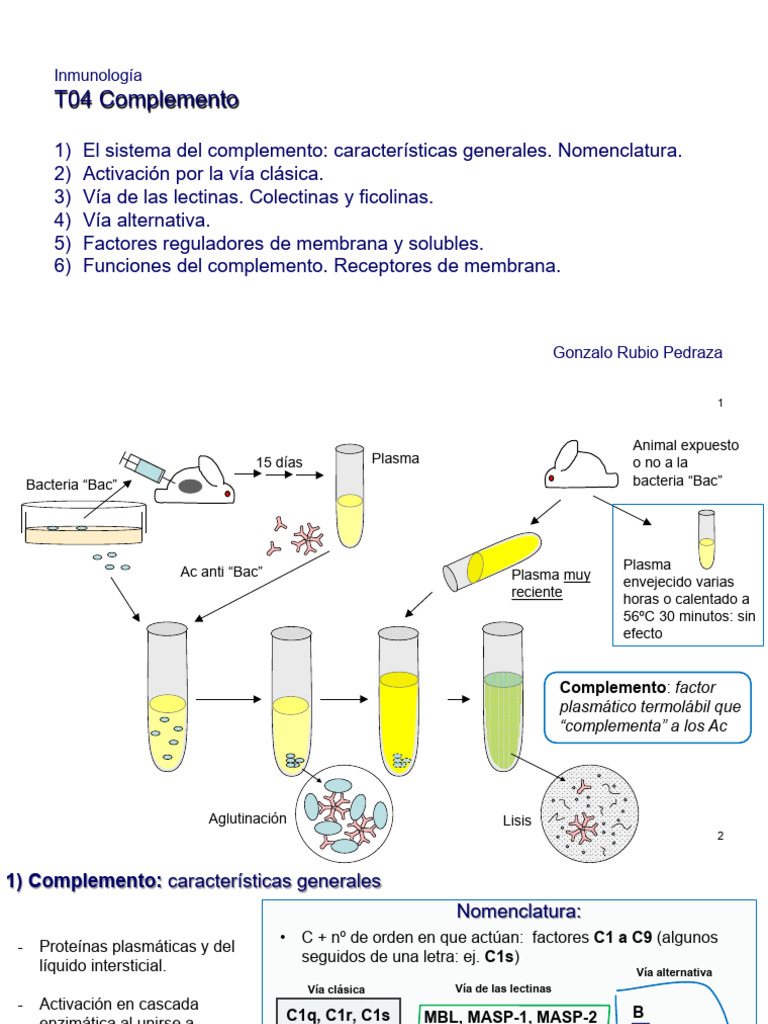 Sistema del Complemento: Vías y Funciones | PDF | Sistema ...