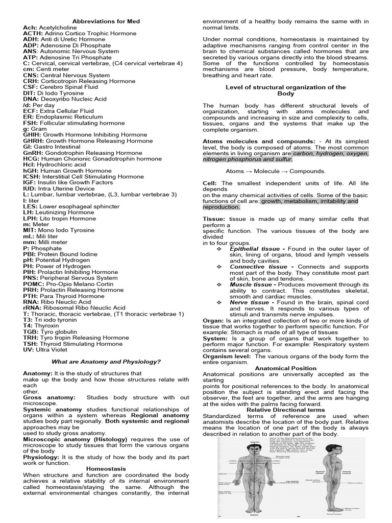 Ana & Physio (EE Reviewer) | Download Free PDF | Epithelium | Human Body