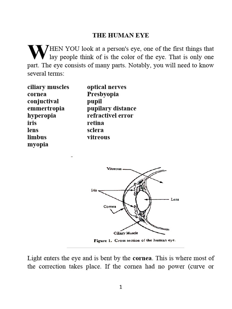 Optician Manual | PDF | Myopia | Human Eye