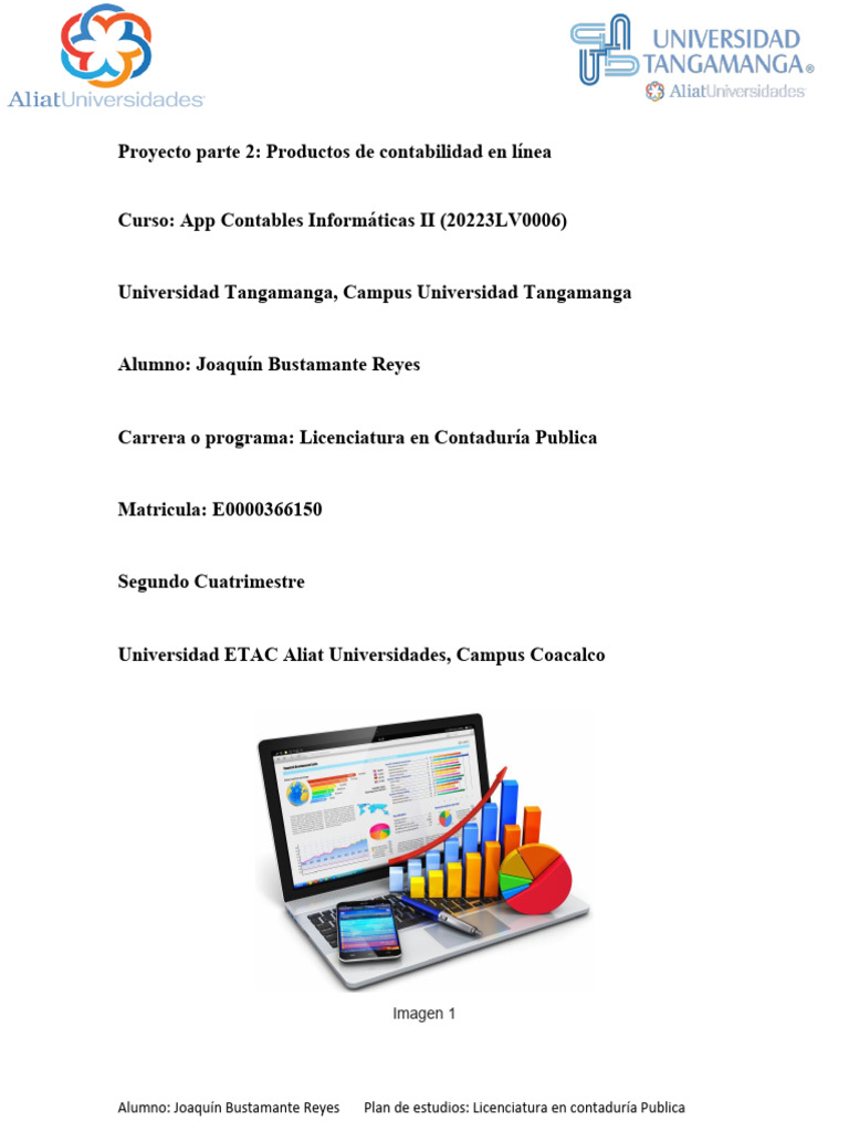 App Contables Infor II - Proyecto Part2 | PDF | Contabilidad | Software