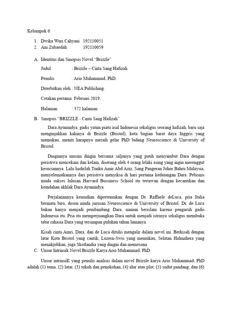 Sinopsis Novel "Brizzle" Karya Ario Muhammad | PDF