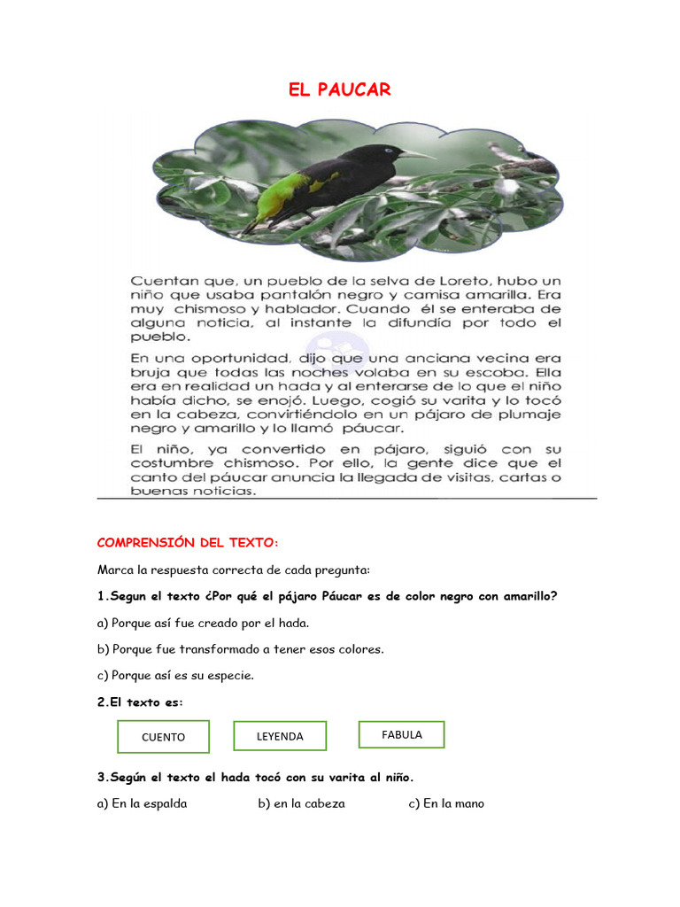 EL PAUCAR 2°gdo | PDF