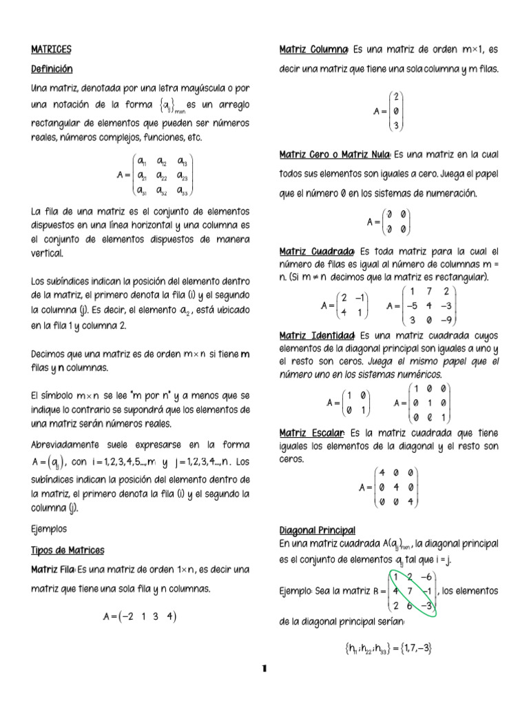 Teoria Sobre Matrices y Determinantes | PDF