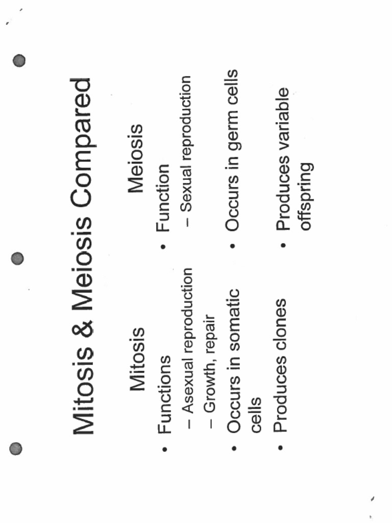 Mitosis Vs Meiosis | PDF