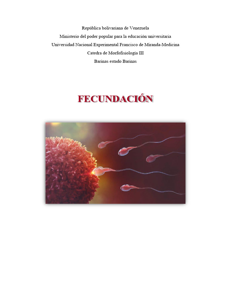 FECUNDACIÓN Tema 44 Final | PDF | Placenta | Feto