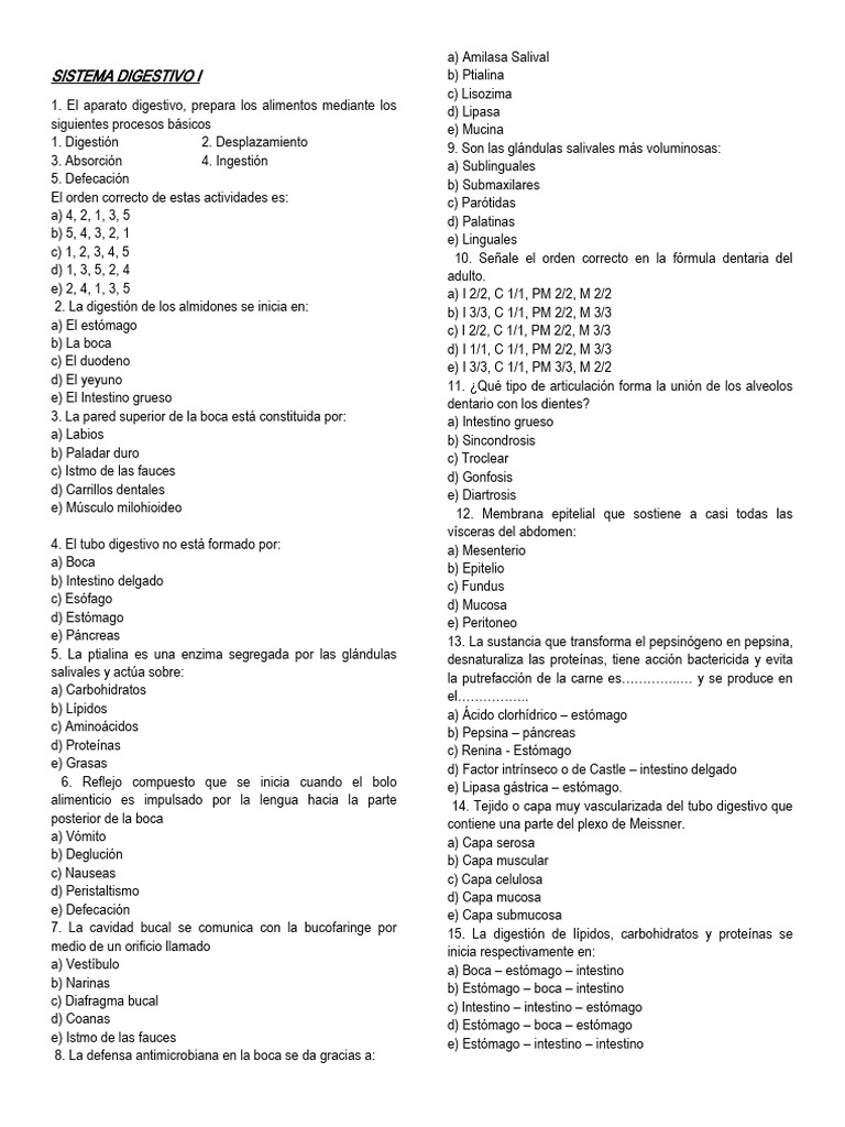 Anato (3) Miriam | PDF | Estómago | Digestión