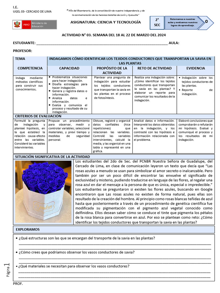 (PDF) 2°sec - UNIDAD 0 - ACTIVIDAD 3 (CyT Indaga 2024) - Indagamos Cómo Identificar Los Tejidos ...