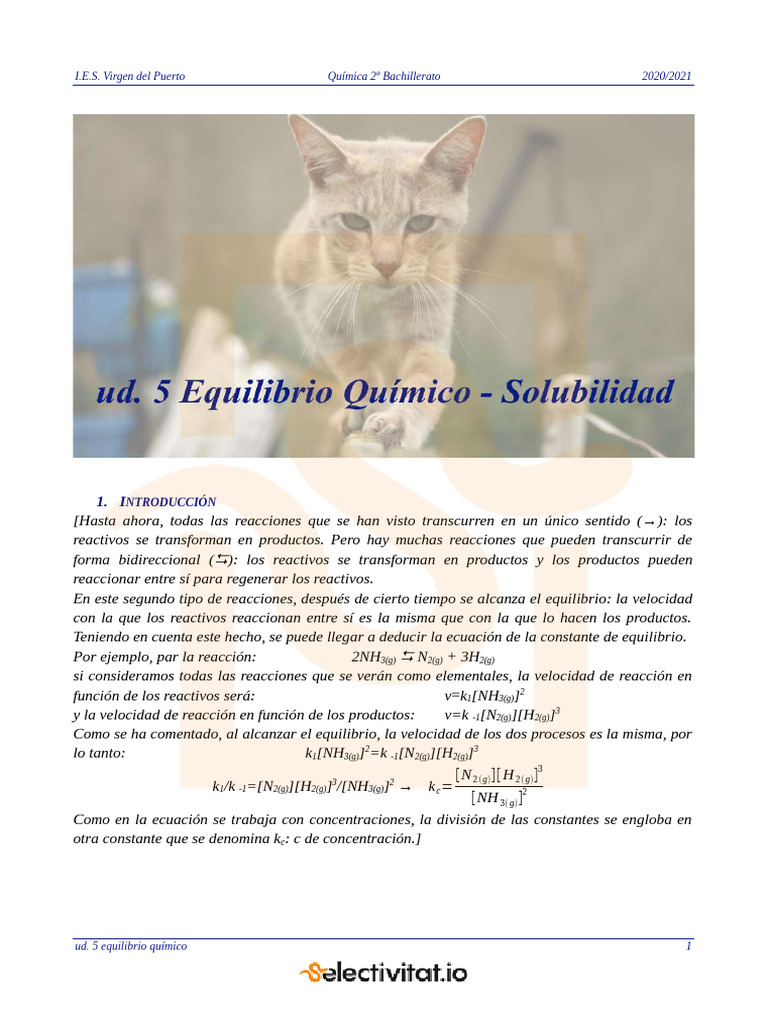 2021-Ud5 Equilibrio Con Ejemplos | PDF | Equilibrio químico | Solubilidad