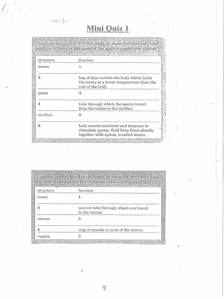 Reproduction in Humans Info | PDF