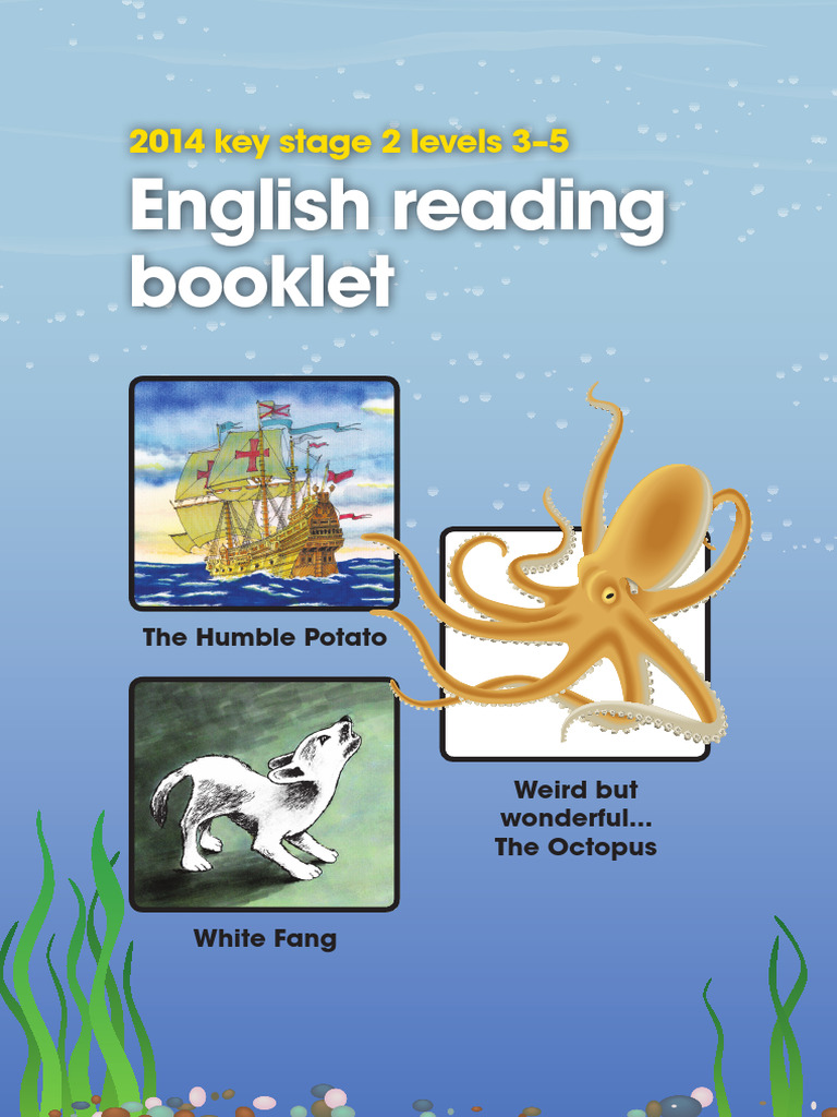 POTATOES READING | PDF | Octopus | Predation