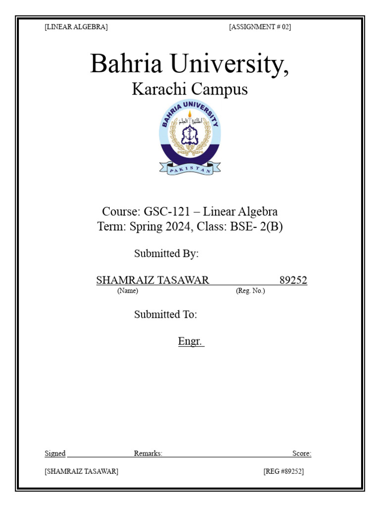 Linear Algebra Assignment #02 Submission | PDF