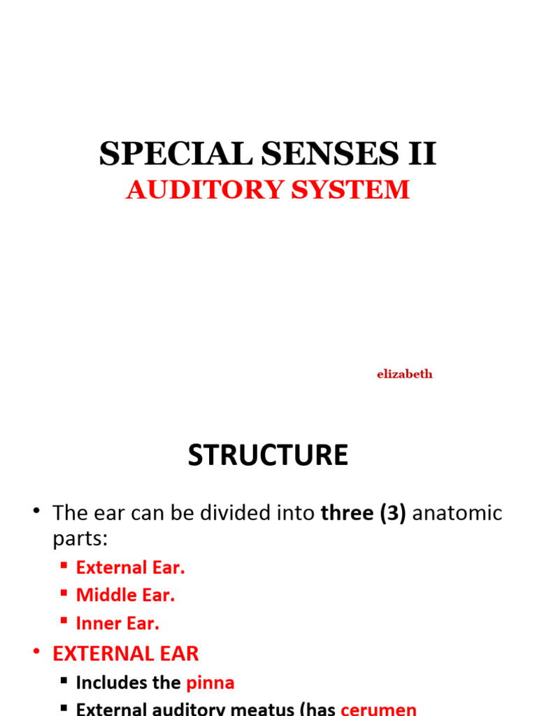 Special Senses Ii Auditory Sysyem | PDF | Ear | Auditory System