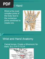 Hand and Wrist Anatomy Overview | PDF | Hand | Joints