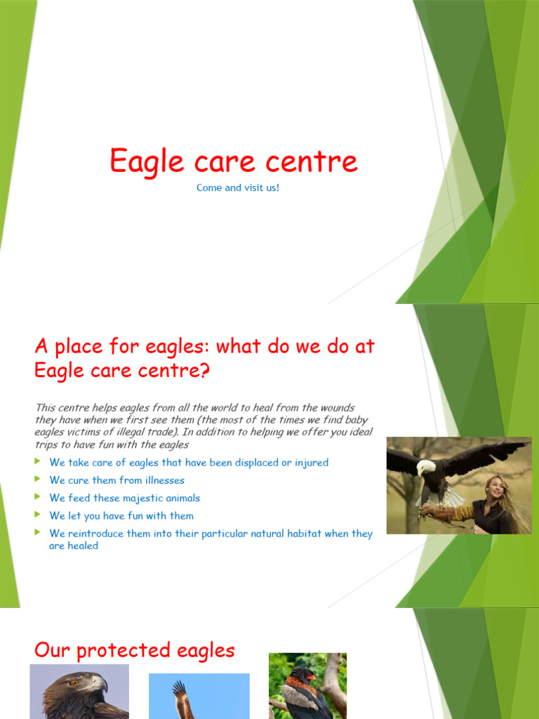 Bateleur Eagle Care and Adventures | PDF