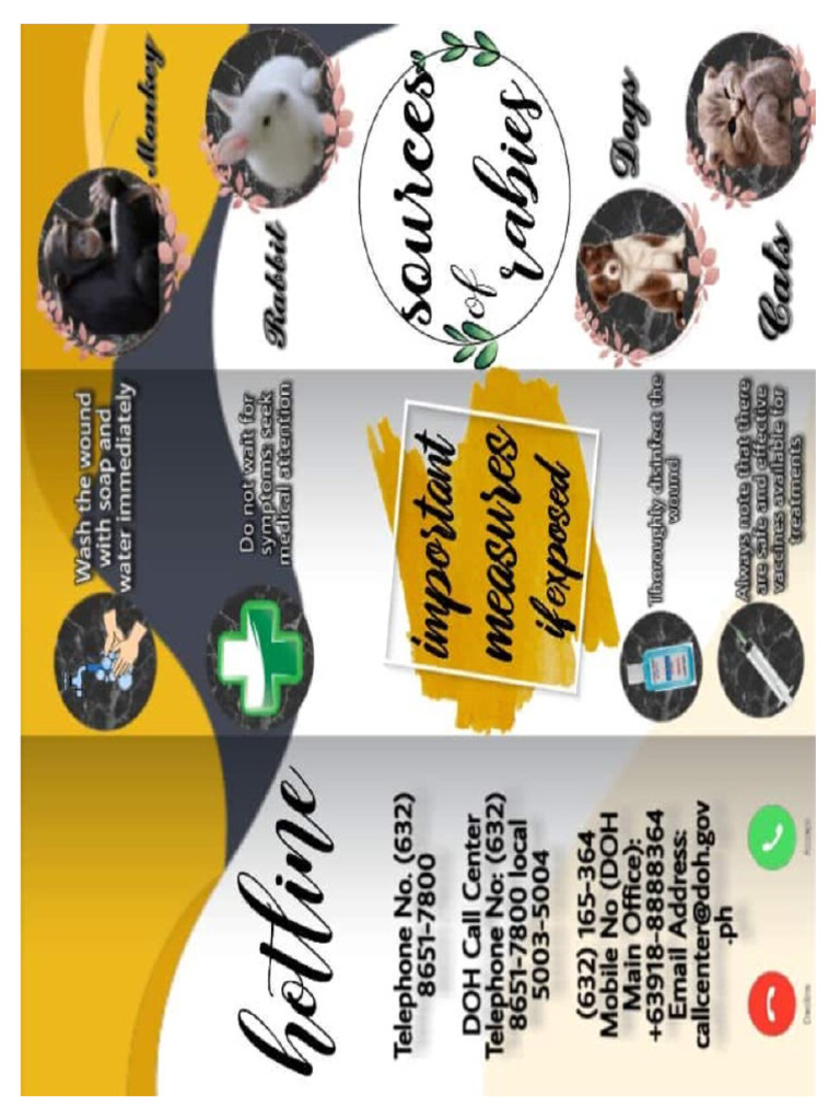 Pamphlet Rabies Super Final | PDF