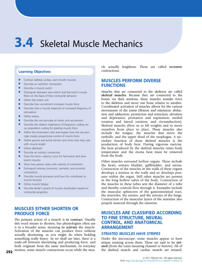 Ch3 - Skeletal Muscle Mechanics | PDF | Motor Neuron | Muscle Contraction