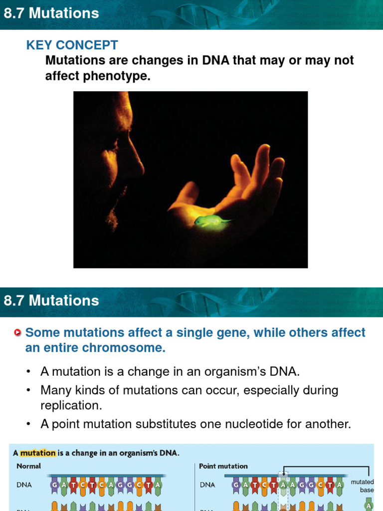 Understanding DNA Mutations | PDF