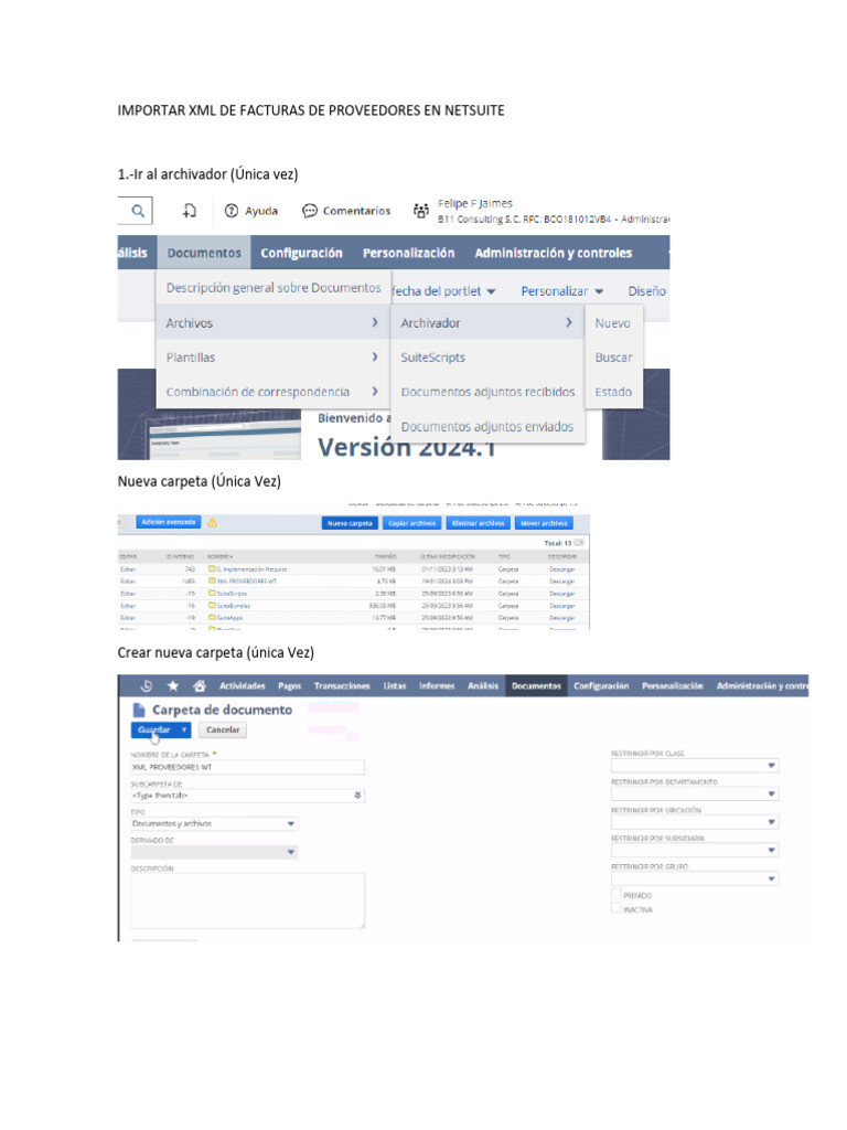 Importar XML en NetSuite | PDF