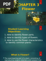 Gumamela: Structure and Reproduction | PDF | Flowers | Pollination