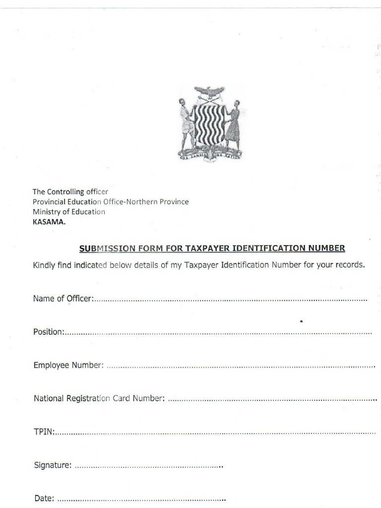Tax Payer Identification (TPIN) Form | PDF