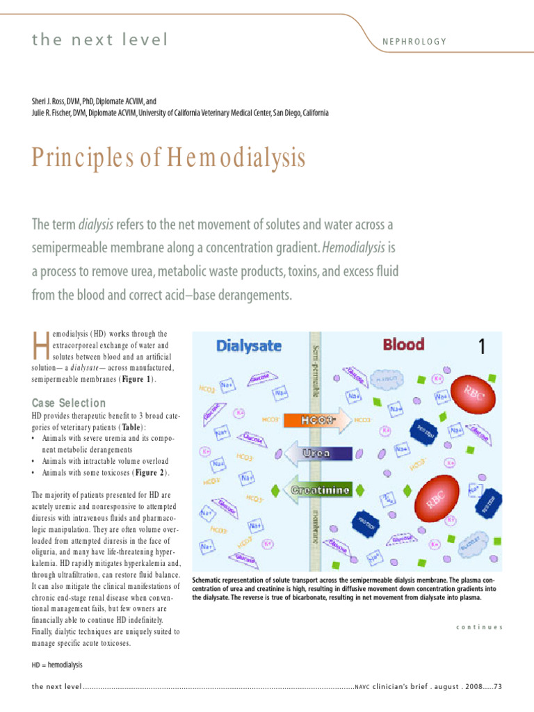 Principles of Hemodialysis 1669 Article | PDF | Hemodialysis | Organ ...