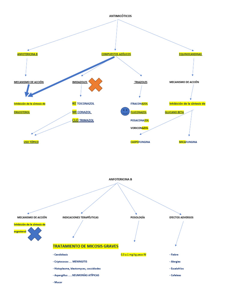 ANTIMICÓTICOS - Mapa Conceptual | PDF | Drogas | Medicina CLINICA