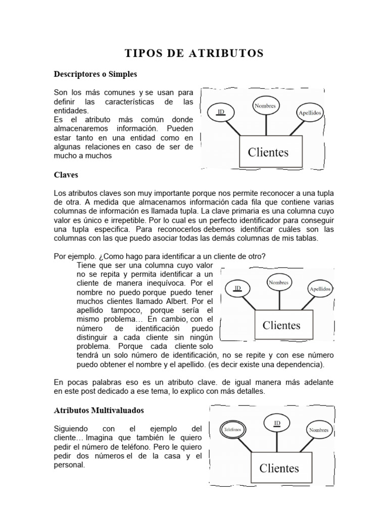 Tipos de Atributos | PDF | Información | Informática