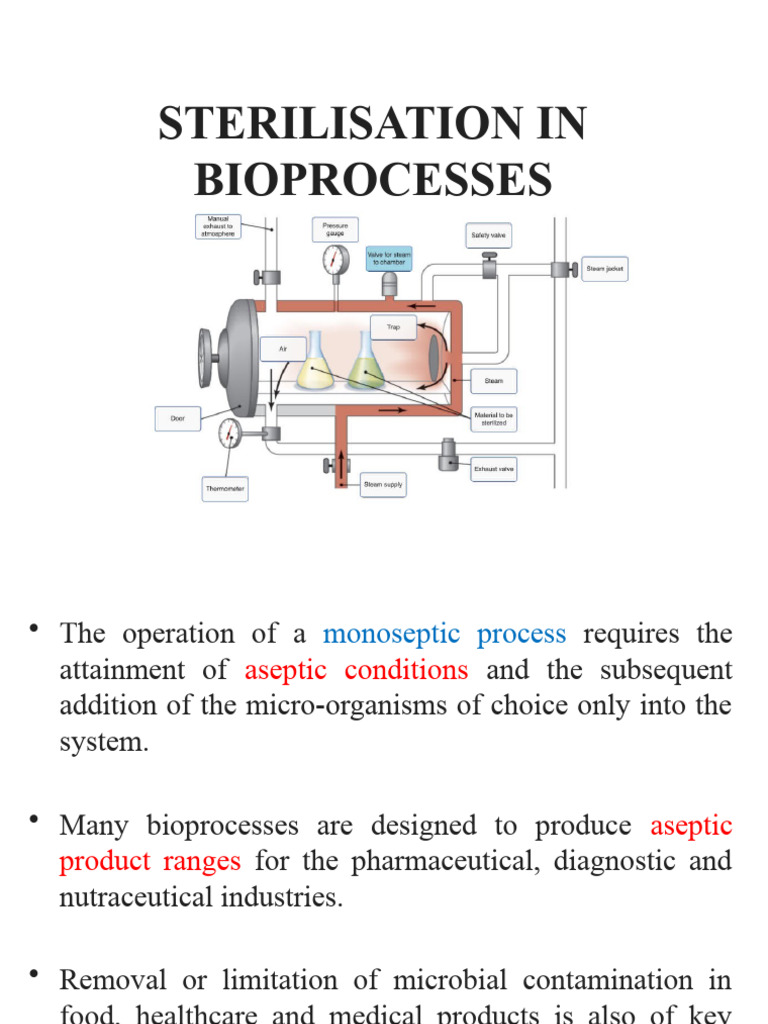 6b. Sterilisation | PDF | Filtration | Sterilization (Microbiology)