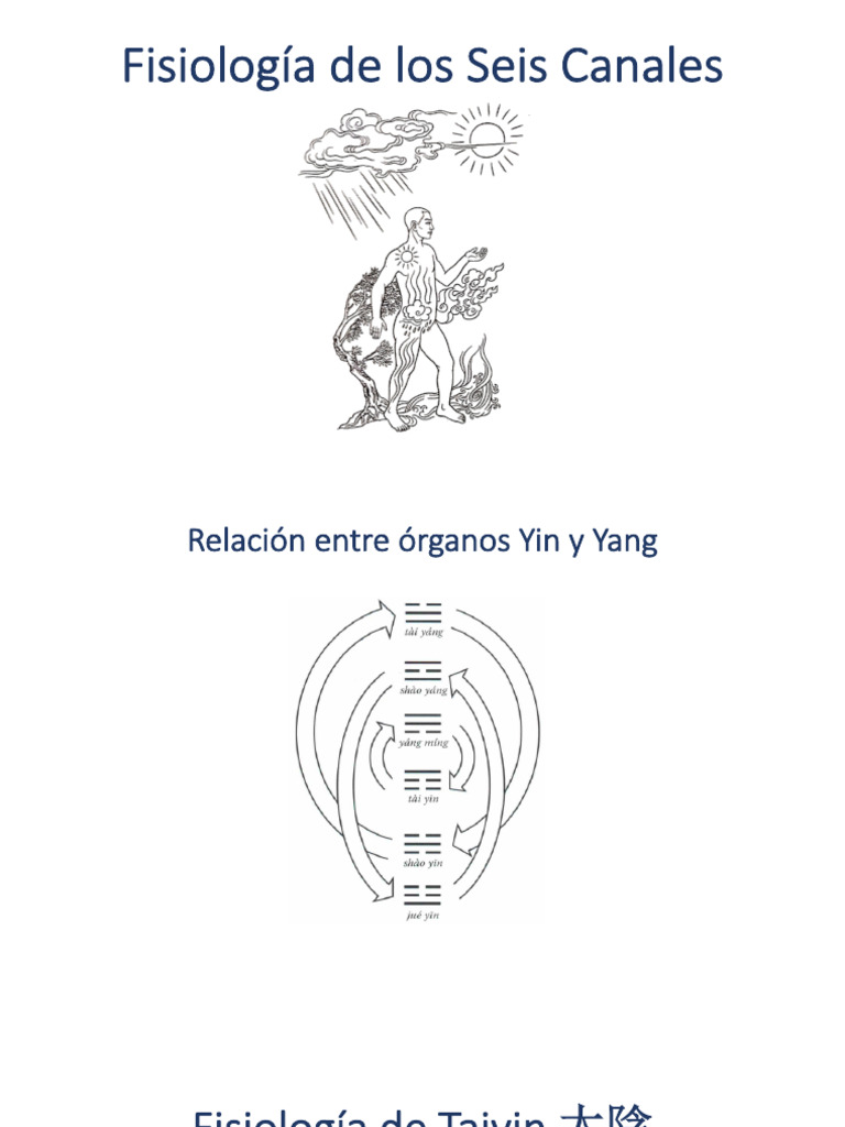 Fisiología de Los Seis Canales | PDF | Yin y yang | Nutrición