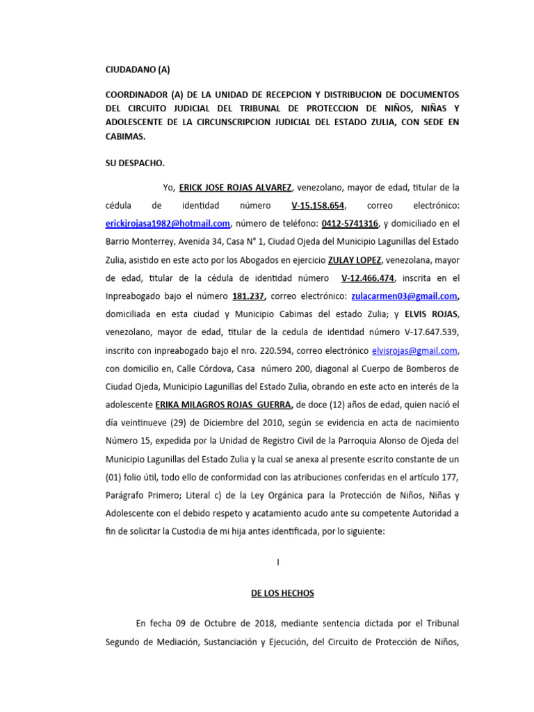 Solicitud De Custodia En Zulia Pdf Documento De Identidad