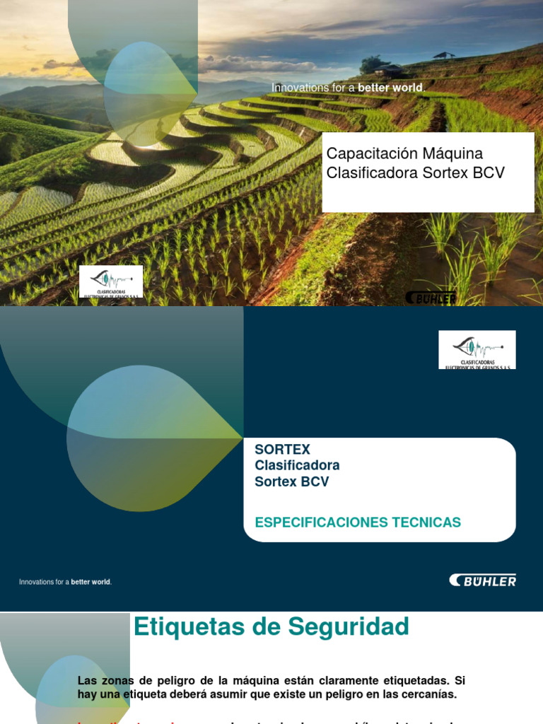 Capacitación Sortex BCV: Seguridad y Especificaciones | PDF | Tecnología