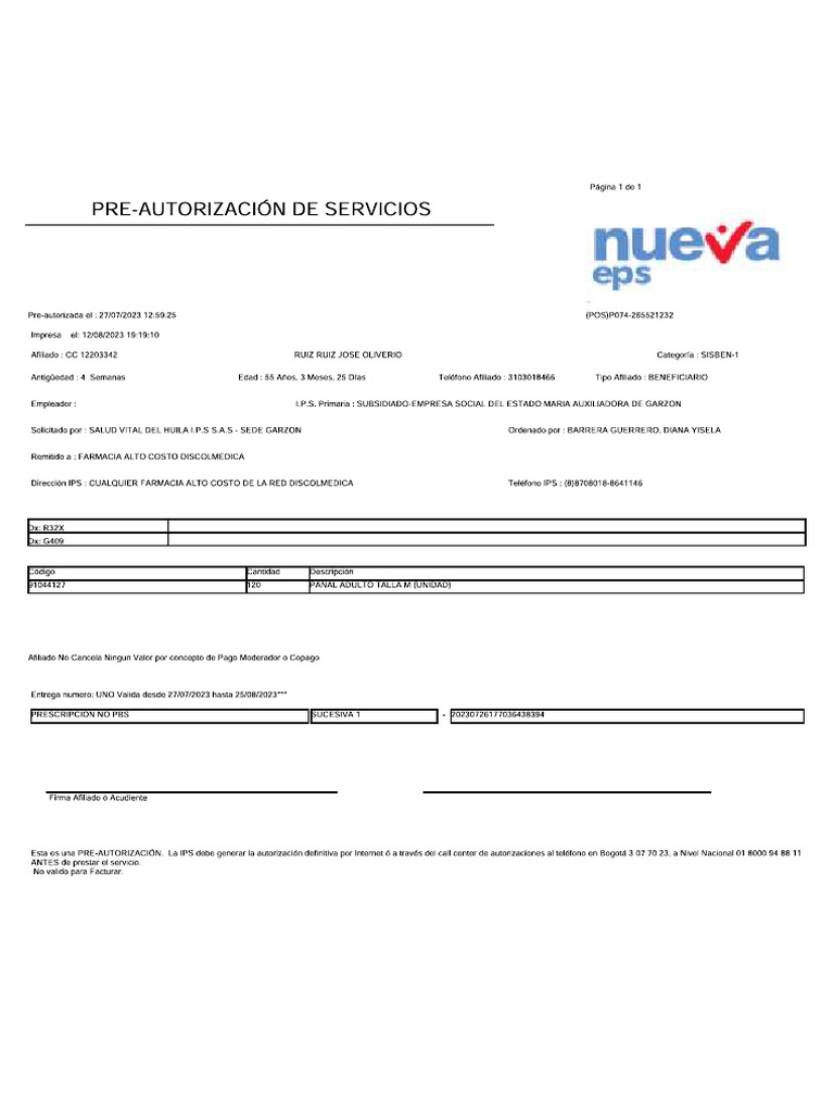 Pañal Entrega 1 | PDF