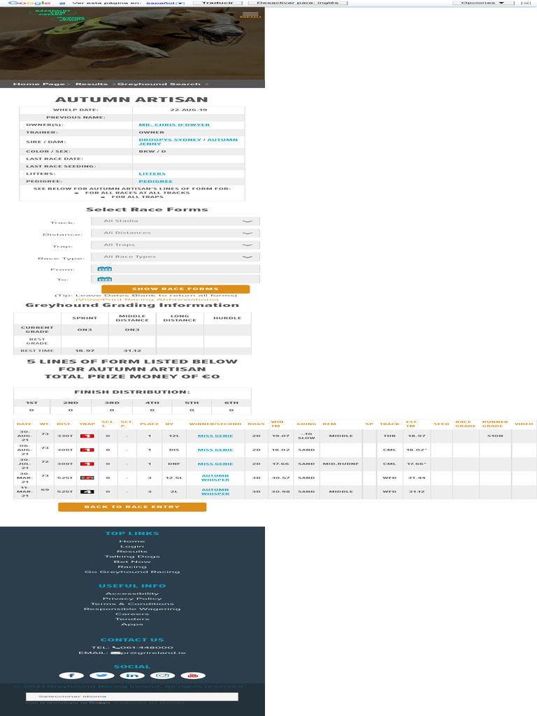 Greyhound Details | PDF | Animal Racing | Racing