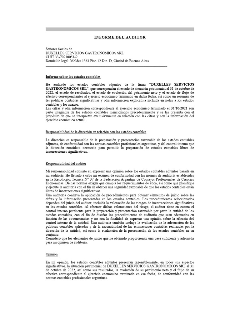 Informe Del Auditor | PDF | Contabilidad | Contralor