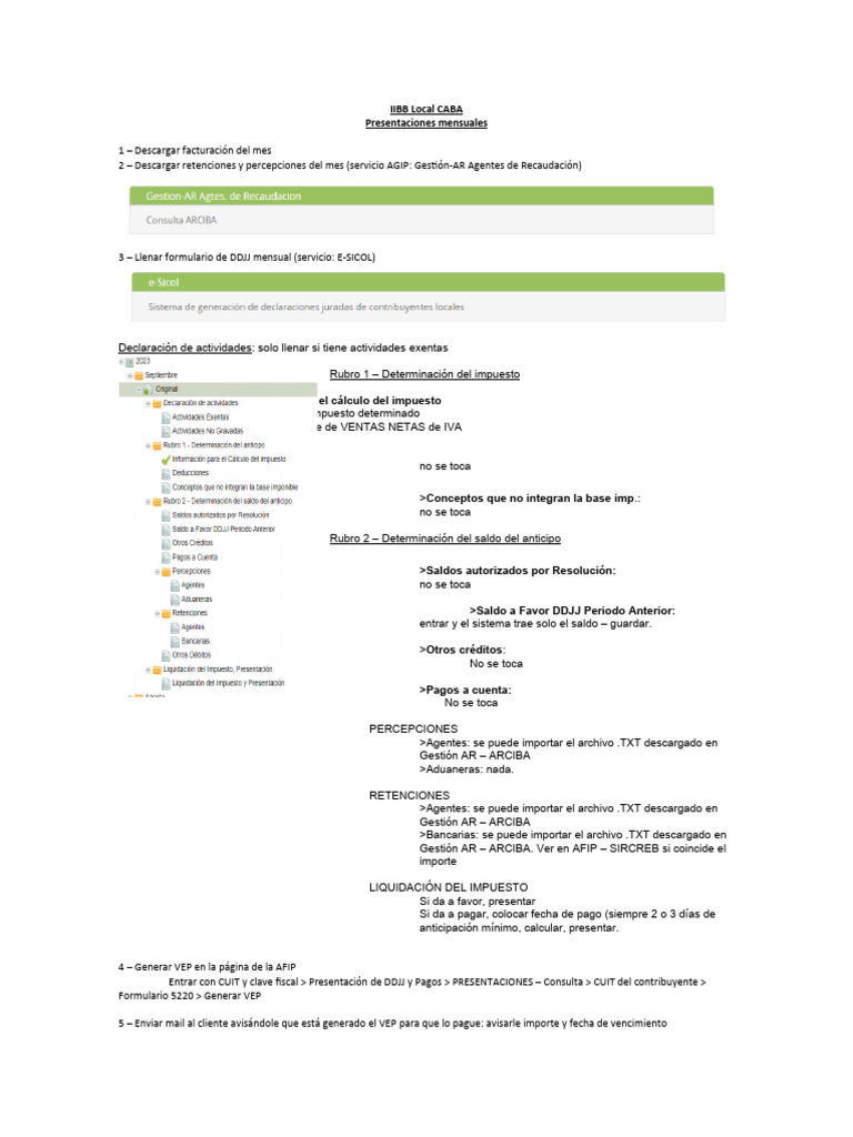 Presentacion Mensual IIBB Local CABA | PDF | Impuestos | Pagos