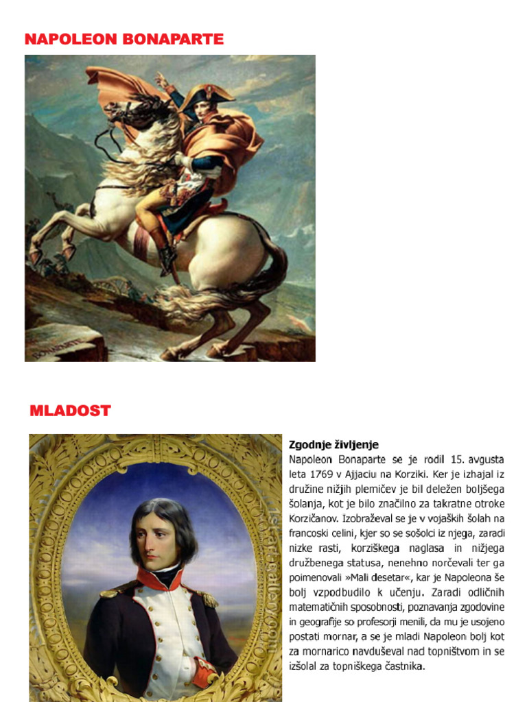 Napoleon Bonaparte | PDF