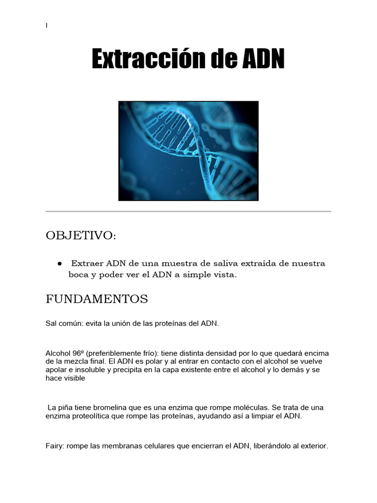 Practica Laboratorio Extracción ADN | PDF | Adn | Membrana celular